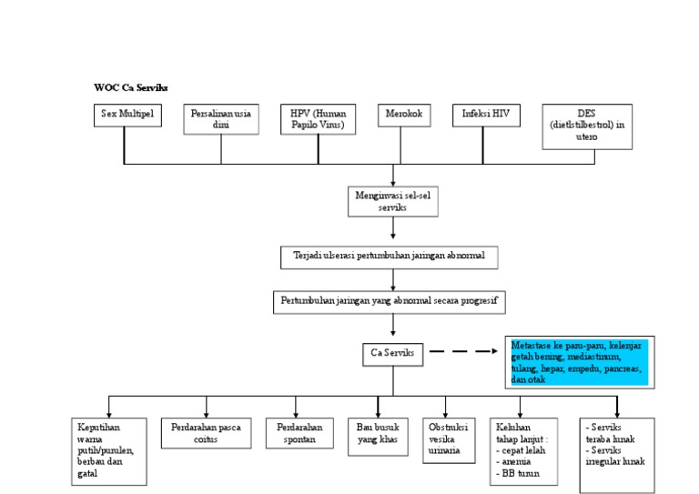 WOC CA Serviks | PDF