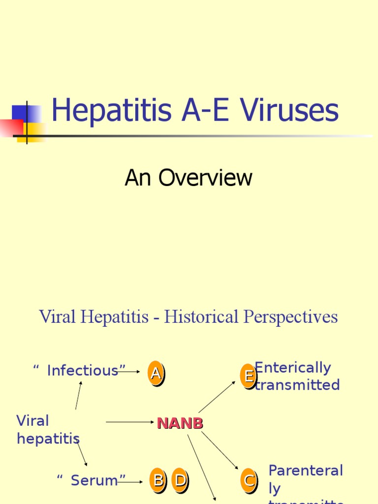 Hepatitis Virus A Sampai e | PDF | Hepatitis | Hepatitis B