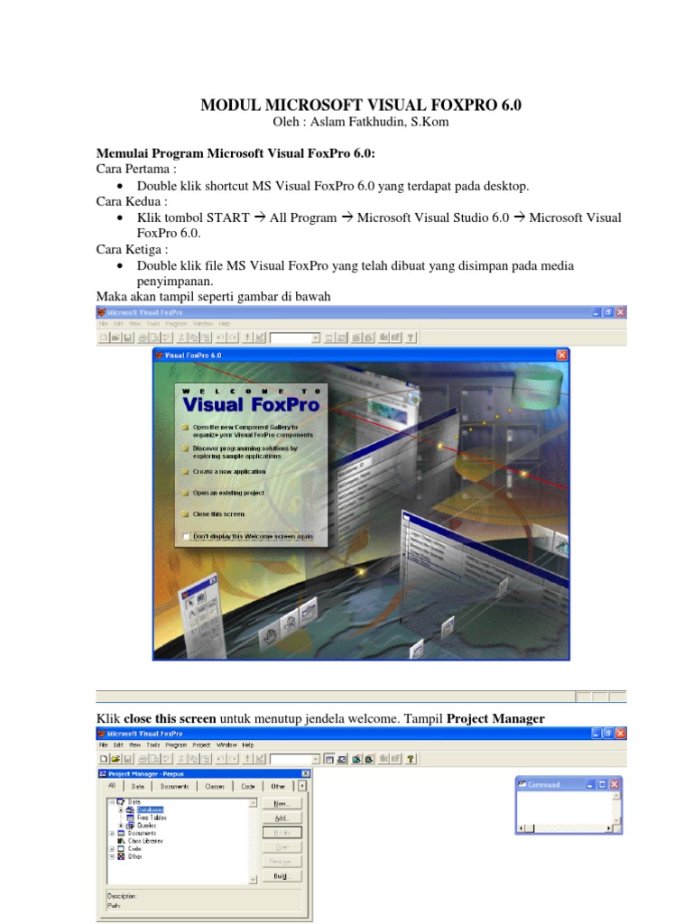Microsoft Visual FoxPro | PDF
