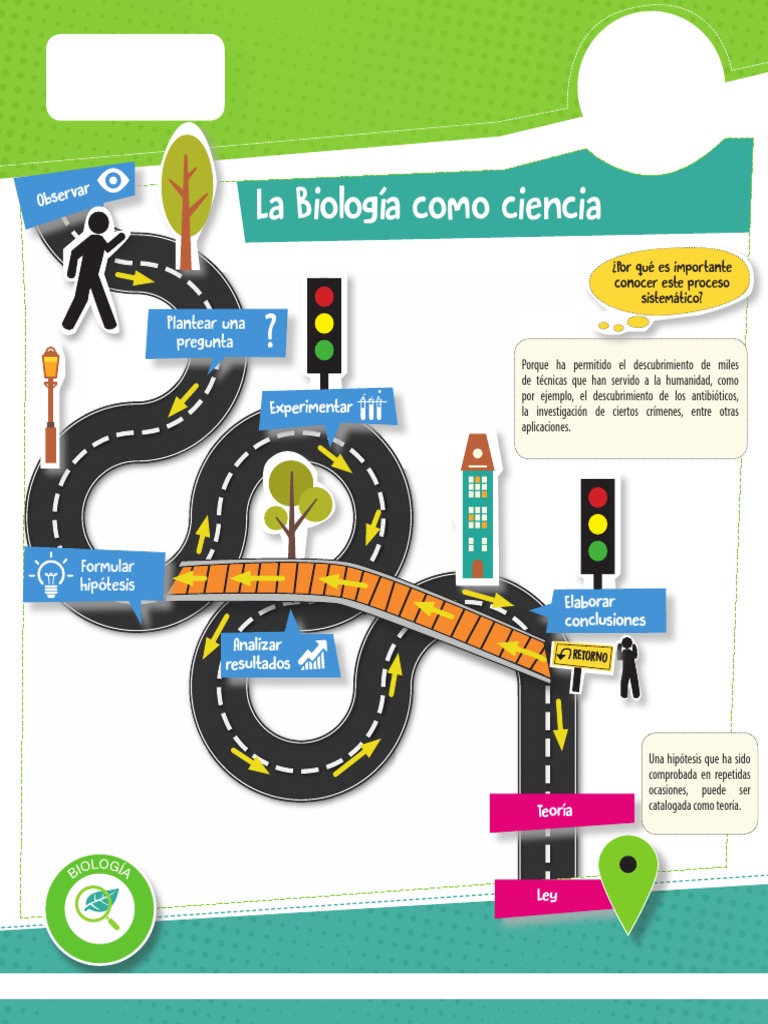 Tríptico Información Método Científico | PDF | Hipótesis | Organismos