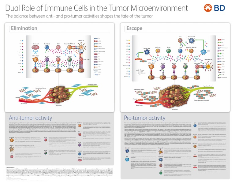 NCCN Rectal Cancer Guidelines 2018 Benson 874 901 | PDF | T Helper Cell ...