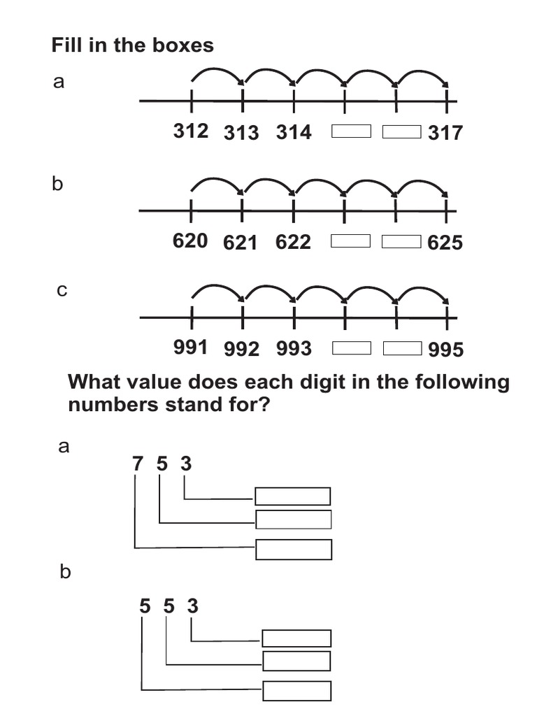 Fill in The Boxes | PDF