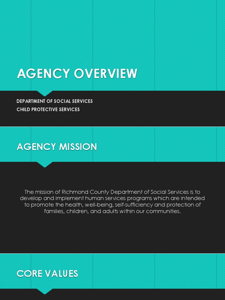 Agency Overview | PDF