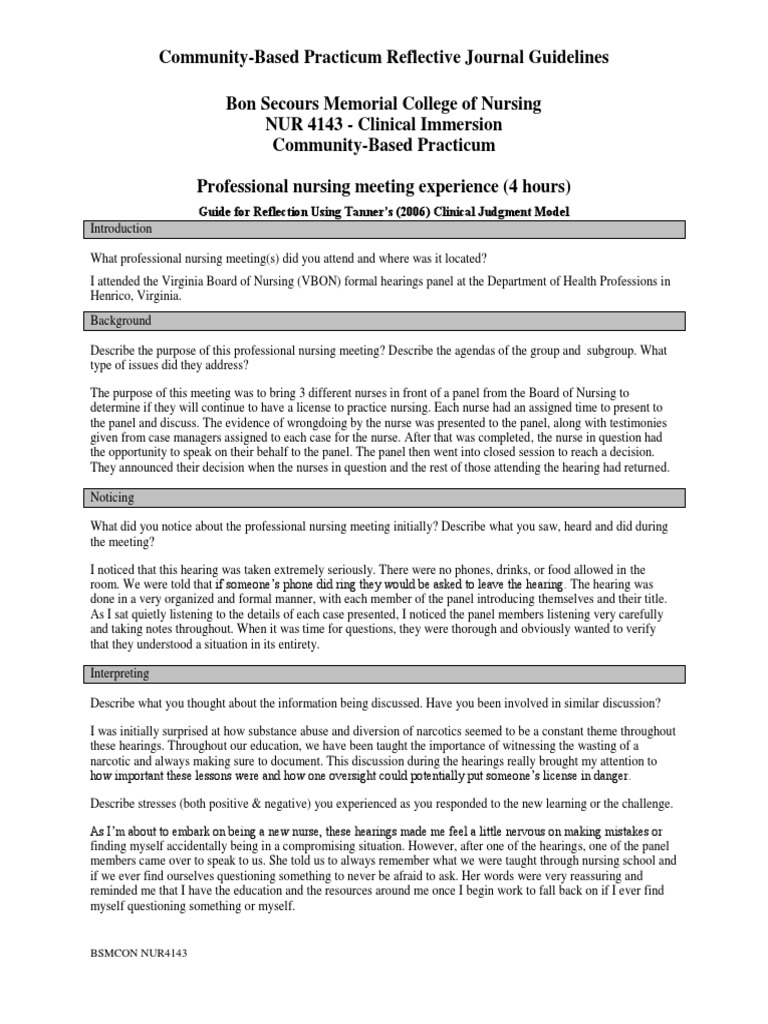 Professional Meeting Reflective Journal | PDF | Nursing | Mentorship