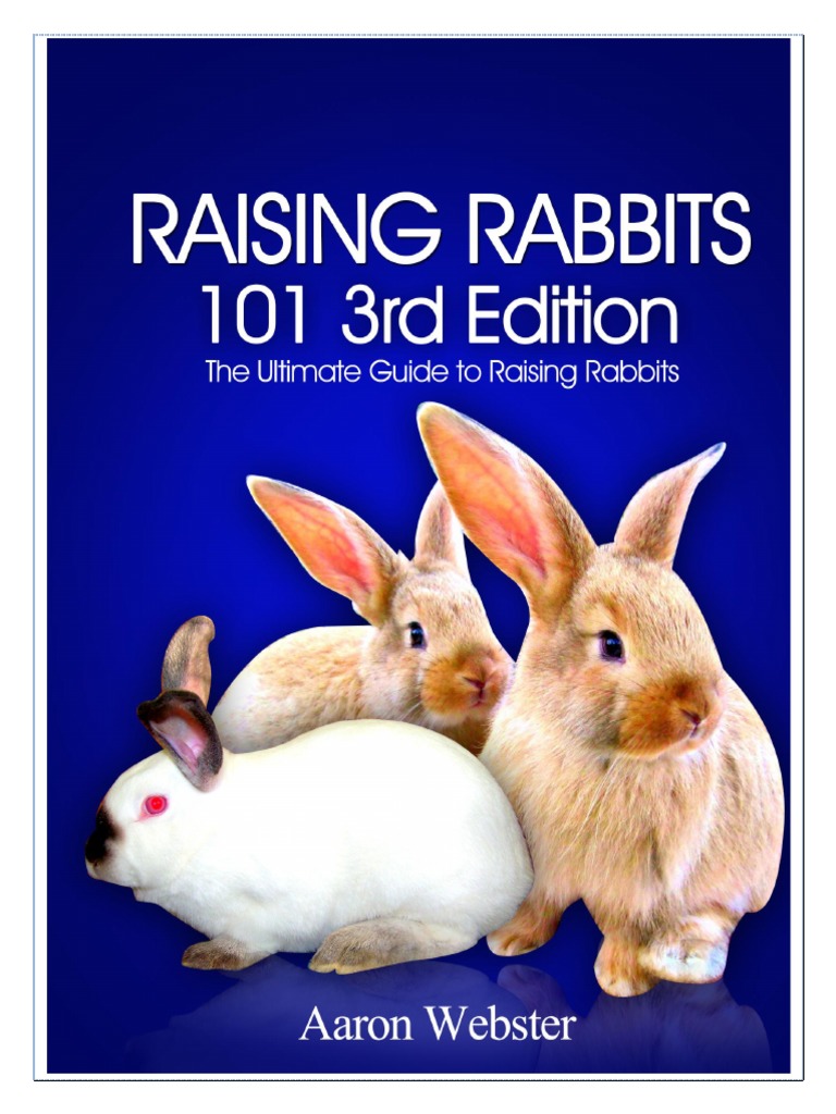 Raising Rabbit | PDF | Rabbit | Mammals As Pets