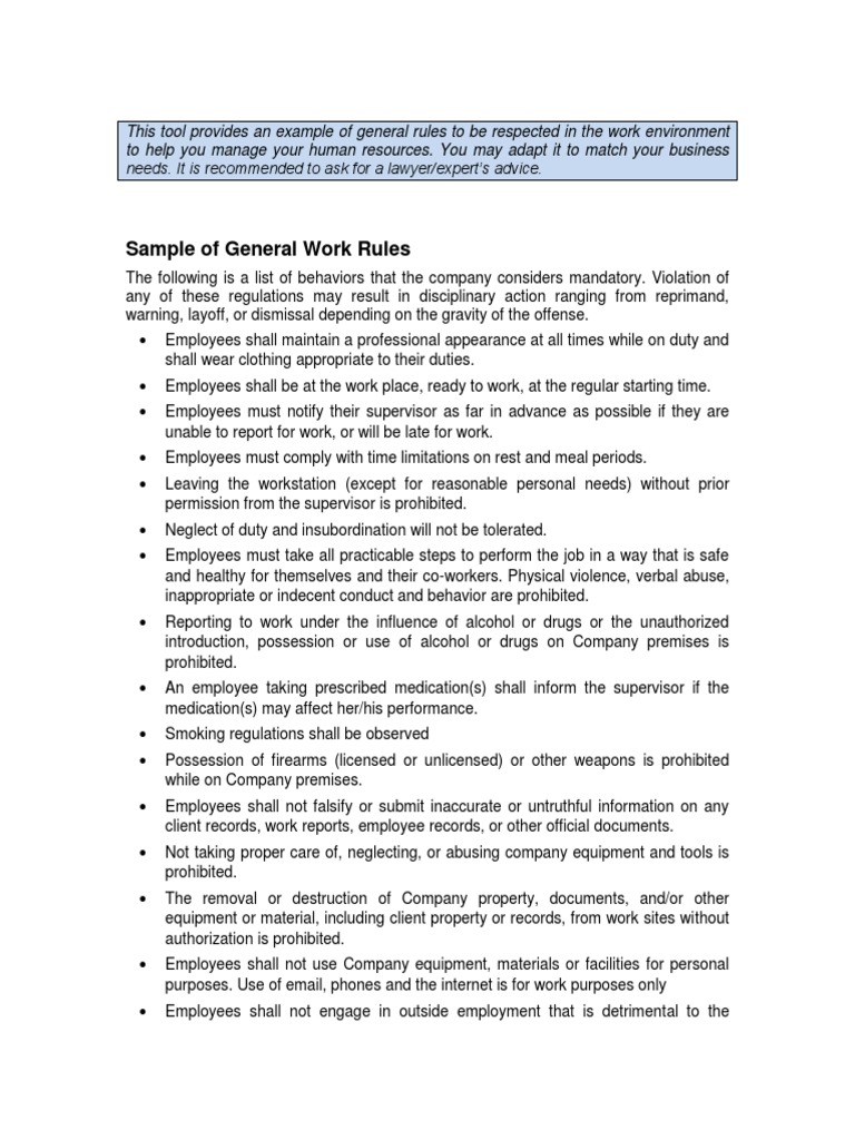 Sample of General Work Rules | PDF | Employment | Public Sphere