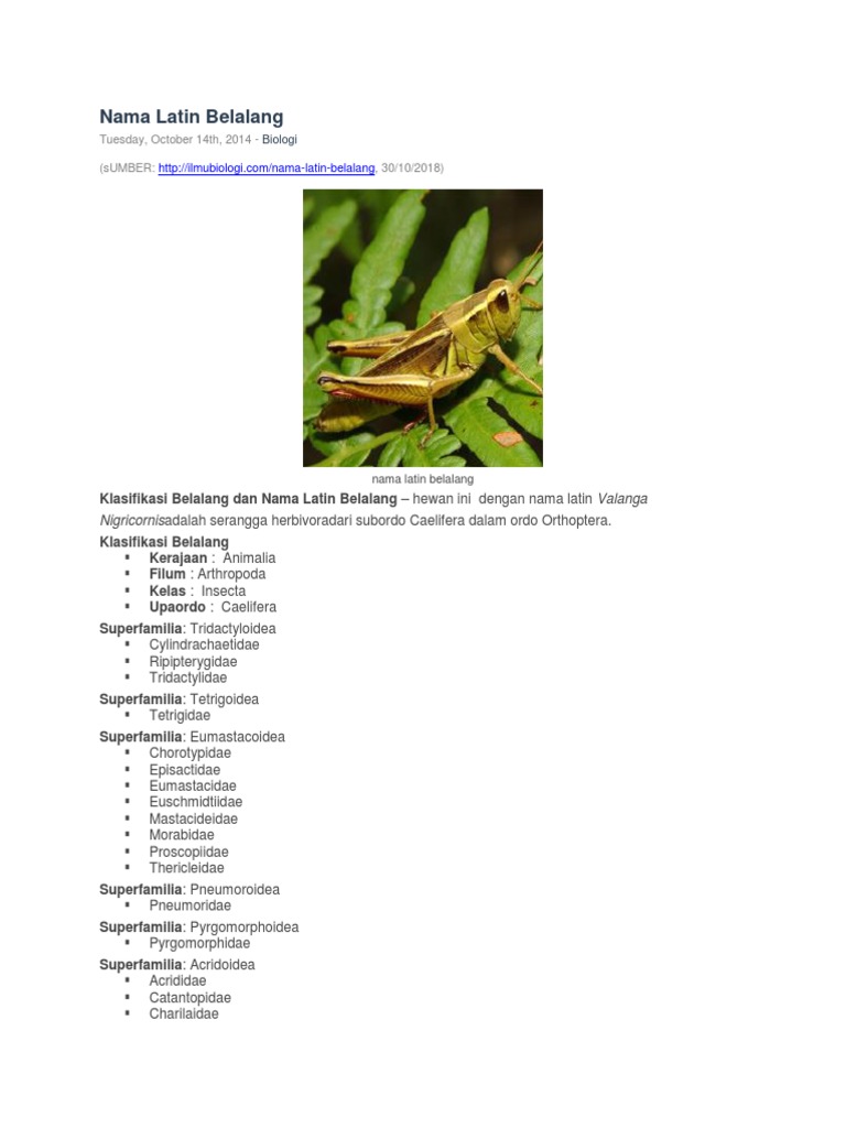 Nama Latin Belalang | PDF