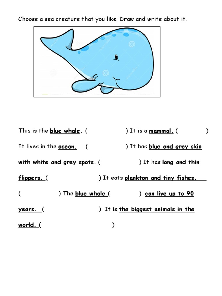Draw and Write About Your Favorite Sea Creature | PDF