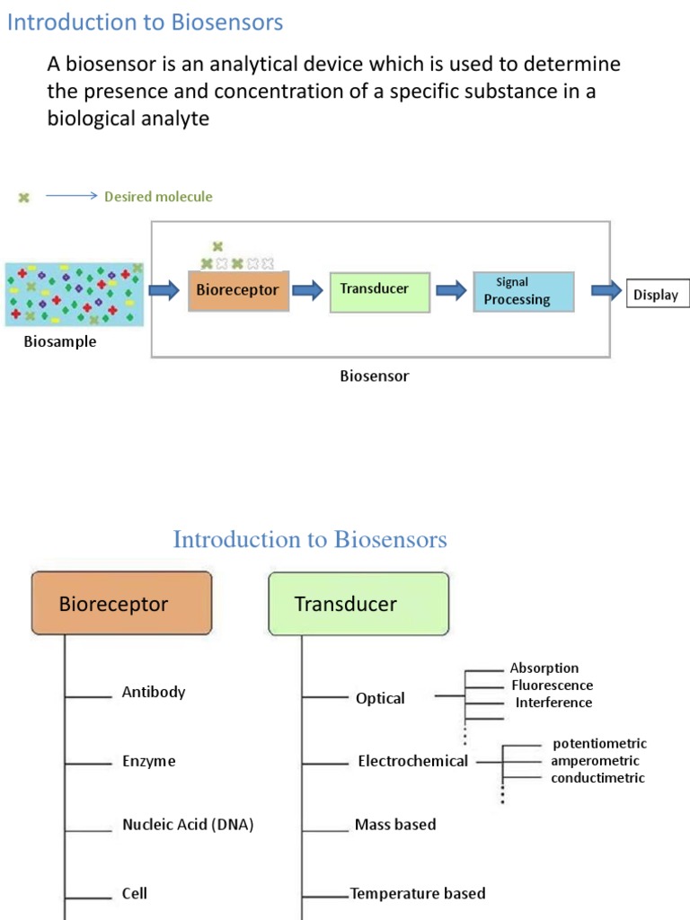 Bioreseptor Biosensor | PDF | Biosensor | Enzyme