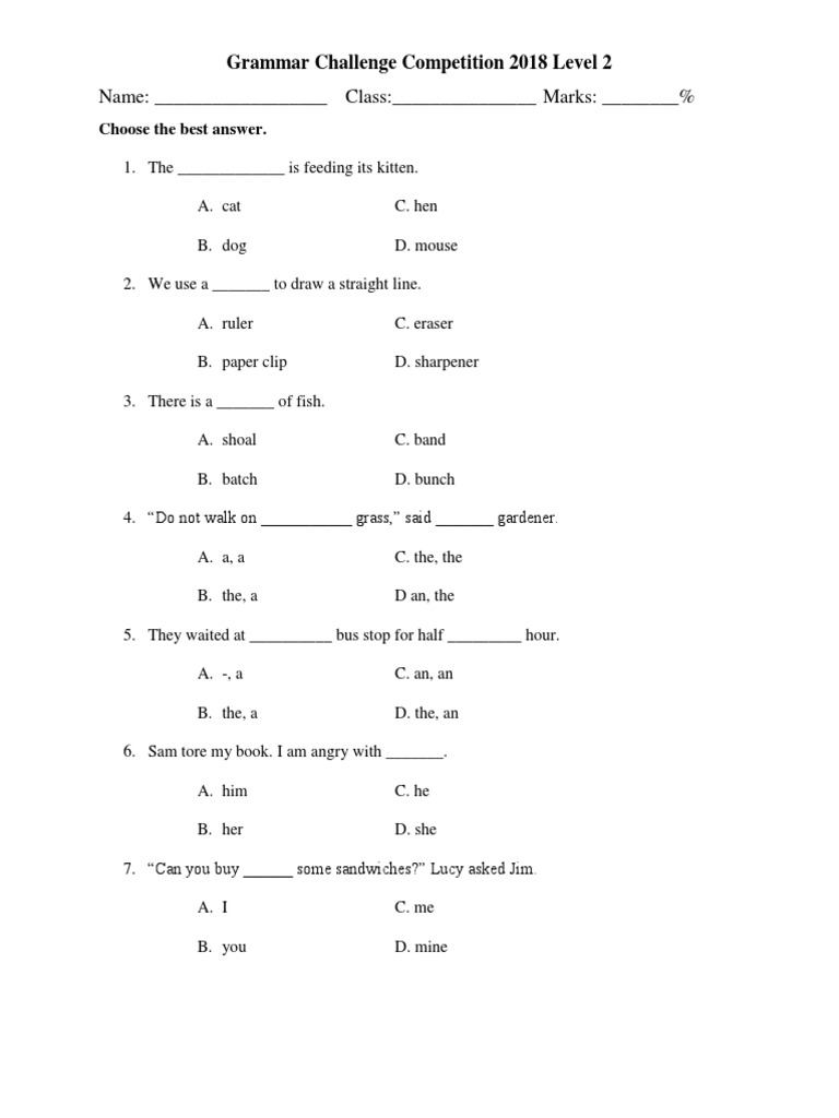 Grammar Challenge 2018 Level 2 Quiz | PDF