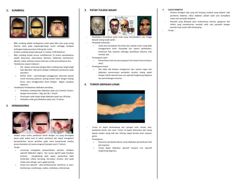 10 Penyakit Terbanyak Leaflet | PDF