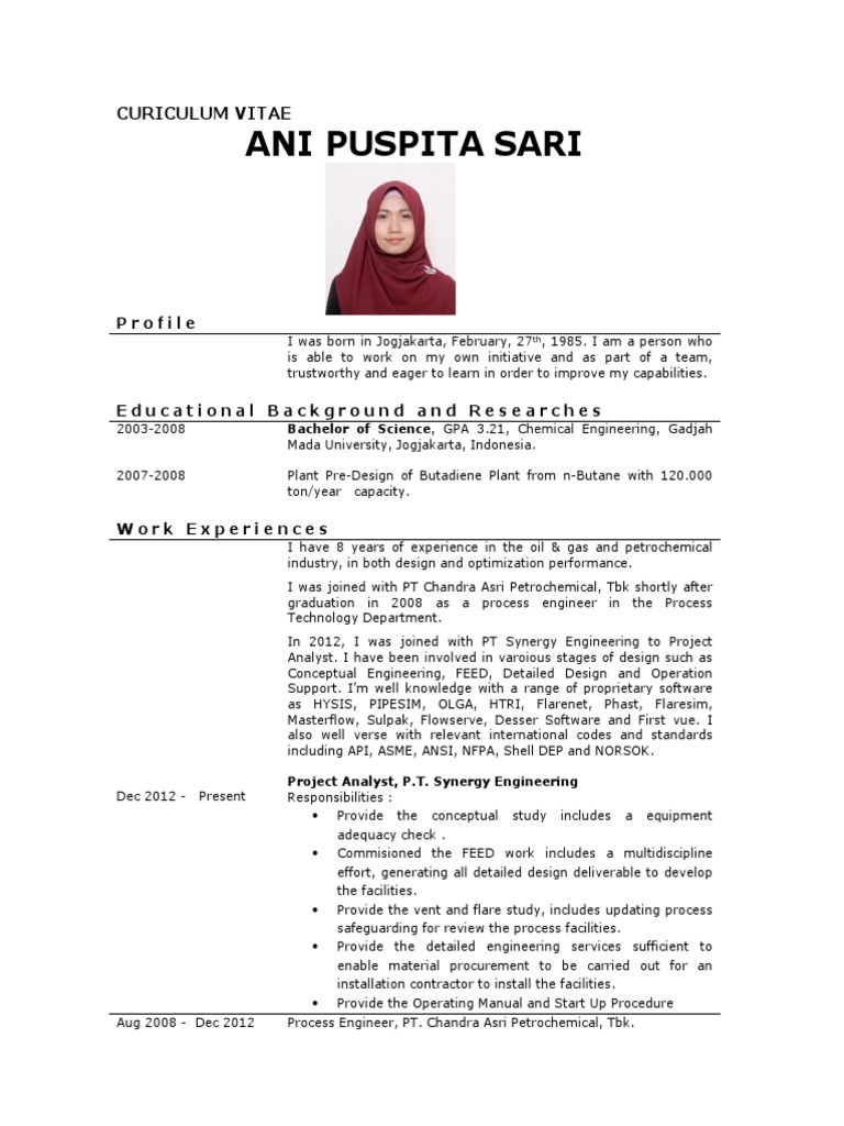 CV Ani Puspita Sari (General) | PDF | Chemical Reactor | Simulation