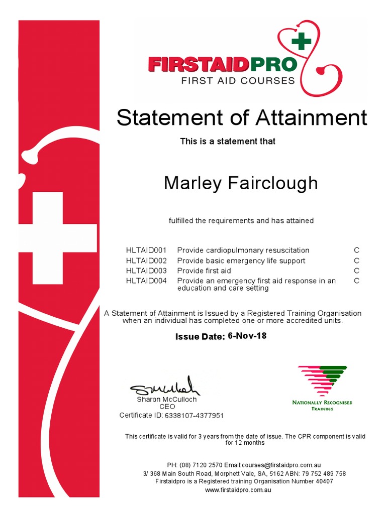 Provide Emergenfy First Aid Response in An Education and Care Setting | PDF