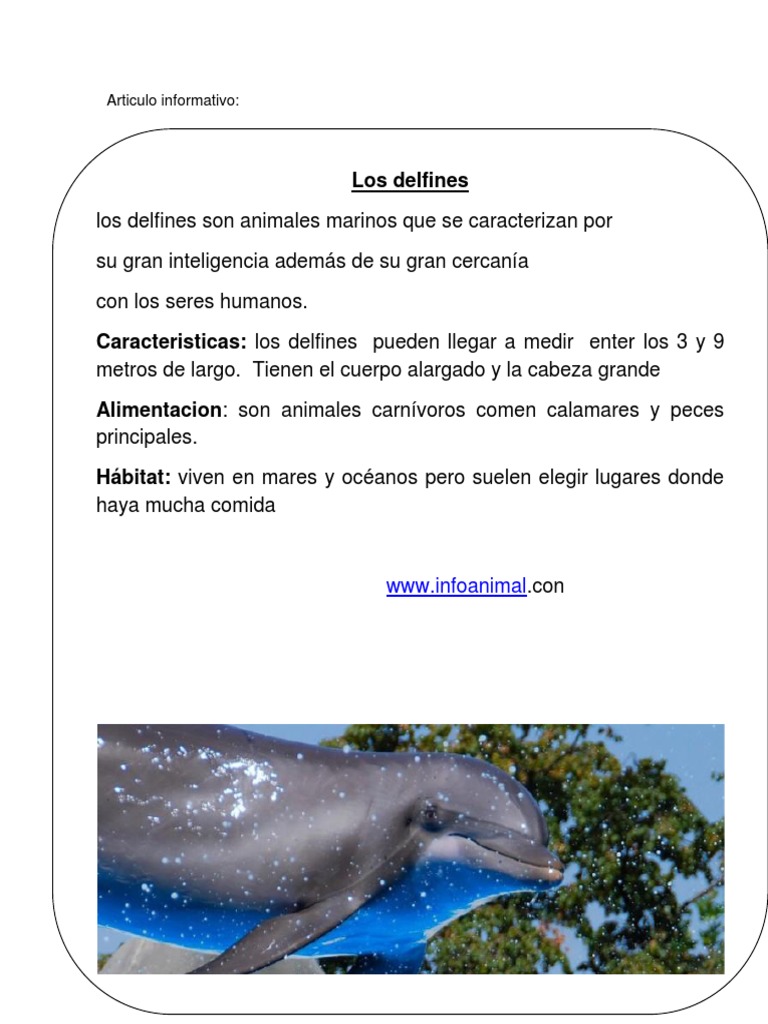 Información sobre los delfines para niños | PDF | Ciencias sociales ...