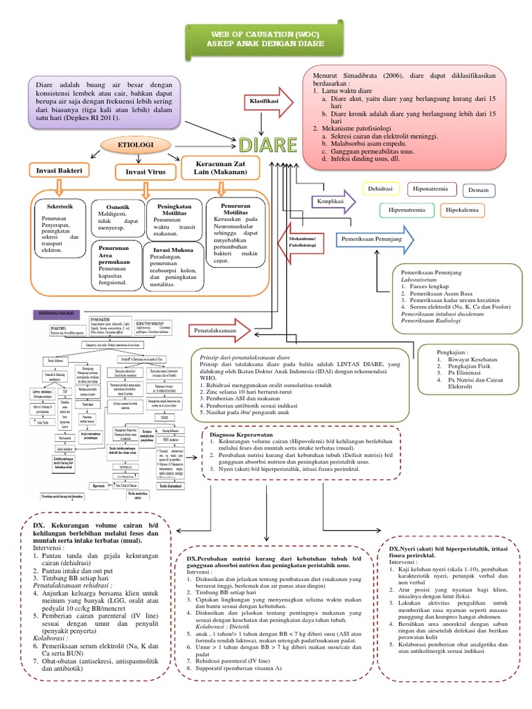 Woc Diare | PDF