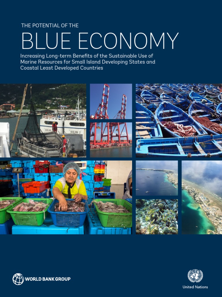 The Potential of The Blue Economy | PDF | Sustainability | Sustainable ...