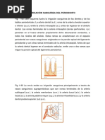 2.3 Tiempos de La Exodoncia Con Forceps y Con Elevadores | PDF | Ramas ...