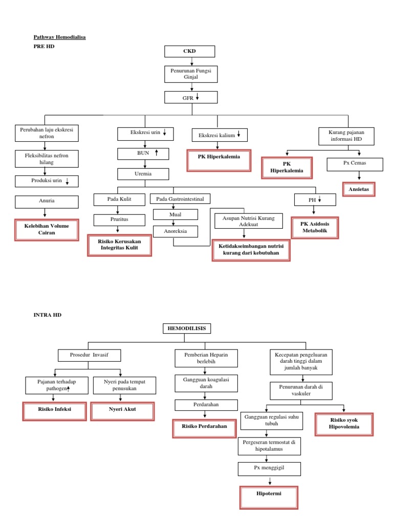 Dokumen - Tips Pathway-Hemodialisa | PDF