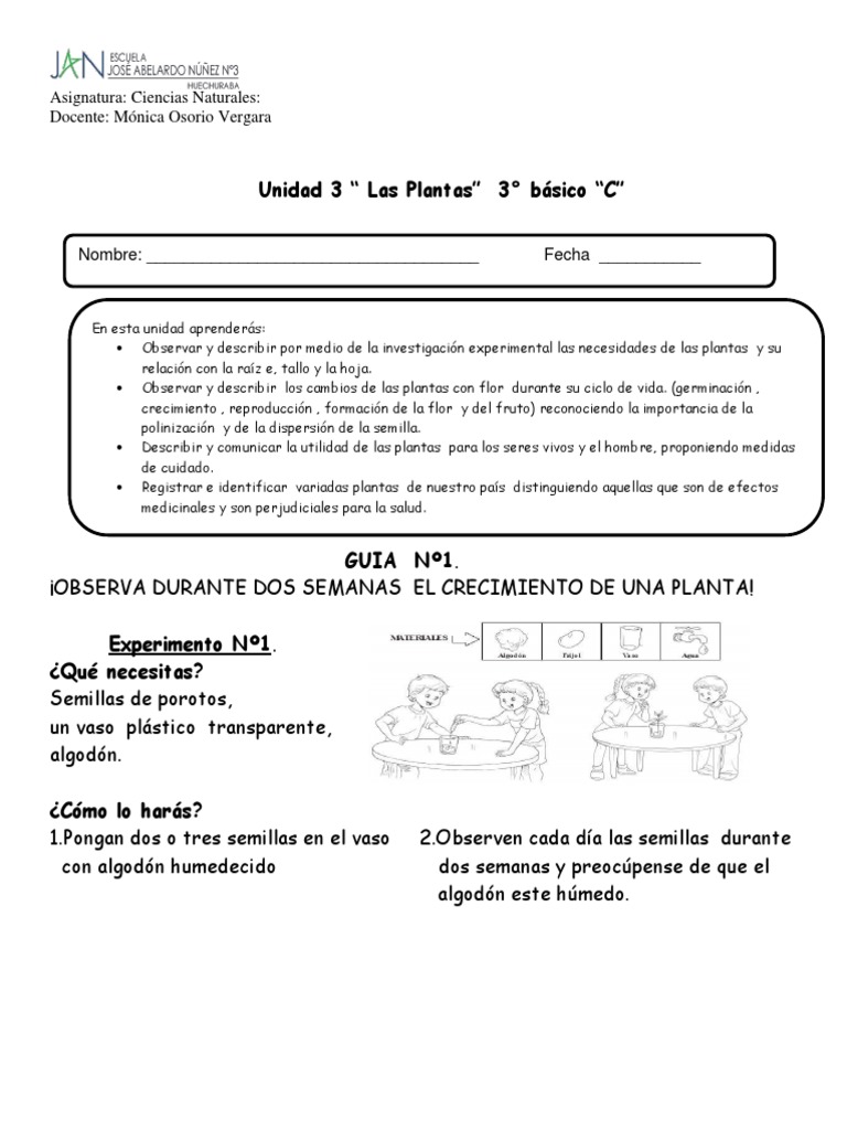 Guia - de - Las - Plantas - Estructura - y - Funcion - de - Las ...