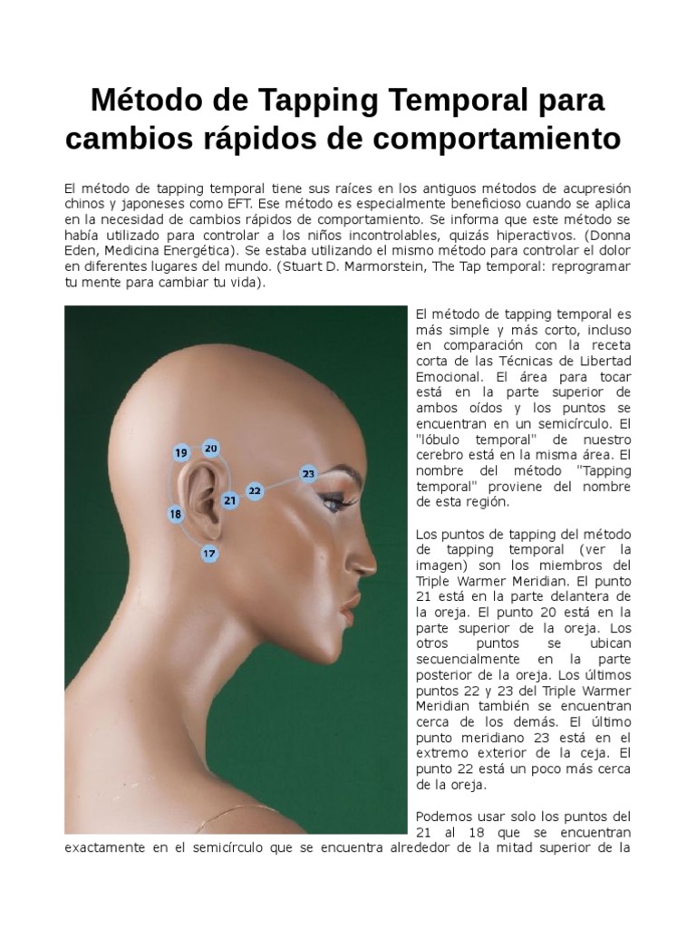 Tapping Temporal para Cambios Rápidos de Comportamiento. | PDF | Cerebro