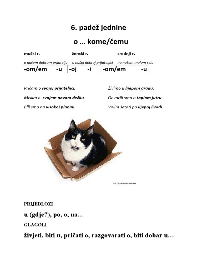 6 Padez | PDF