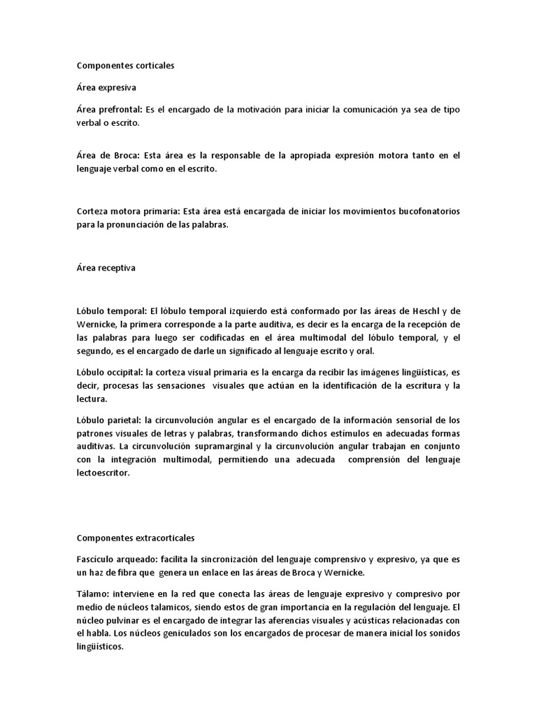 Componentes Corticales | PDF | Anatomía humana | Evaluación ...