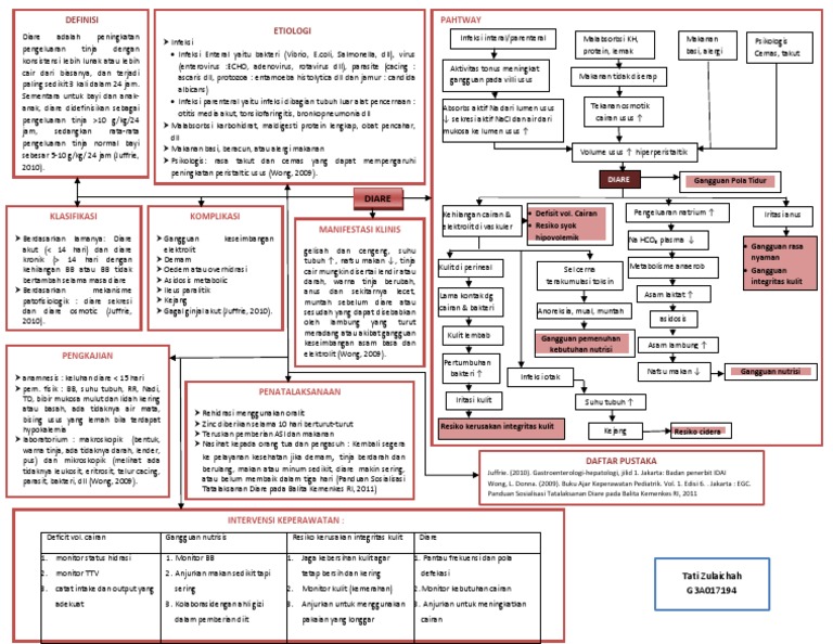 Mind Map Diare | PDF