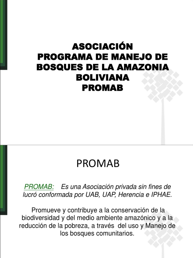 Presentacion 2008 Experiencias MFC en El PROMAB | PDF | Gestión de ...