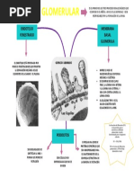 Células Lábiles | PDF | Relaciones personales, crianza y desarrollo ...