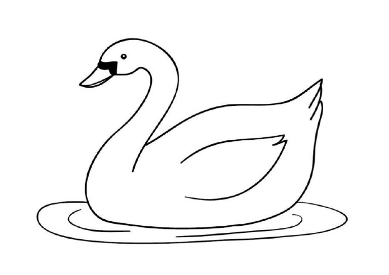 Gambar Angsa | PDF