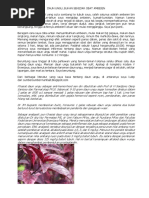 Ukuran dan Format Proposal yang Tepat | PDF | Karier & Perkembangan | Seni