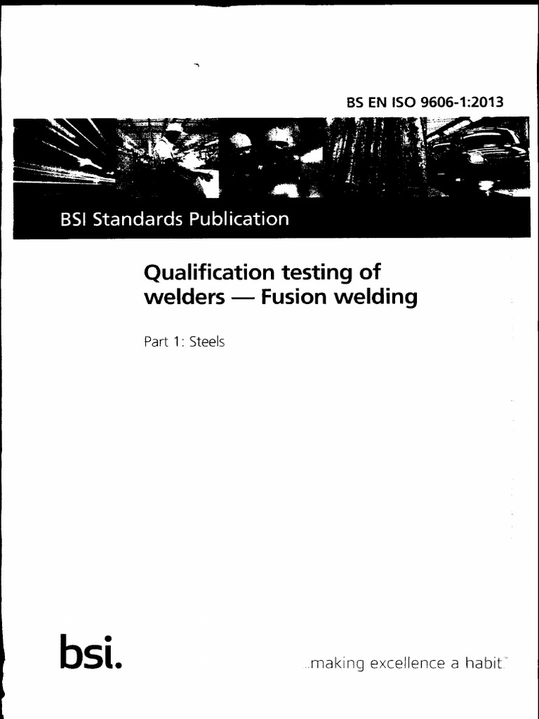 BS en Iso 9606-1 2013 | PDF