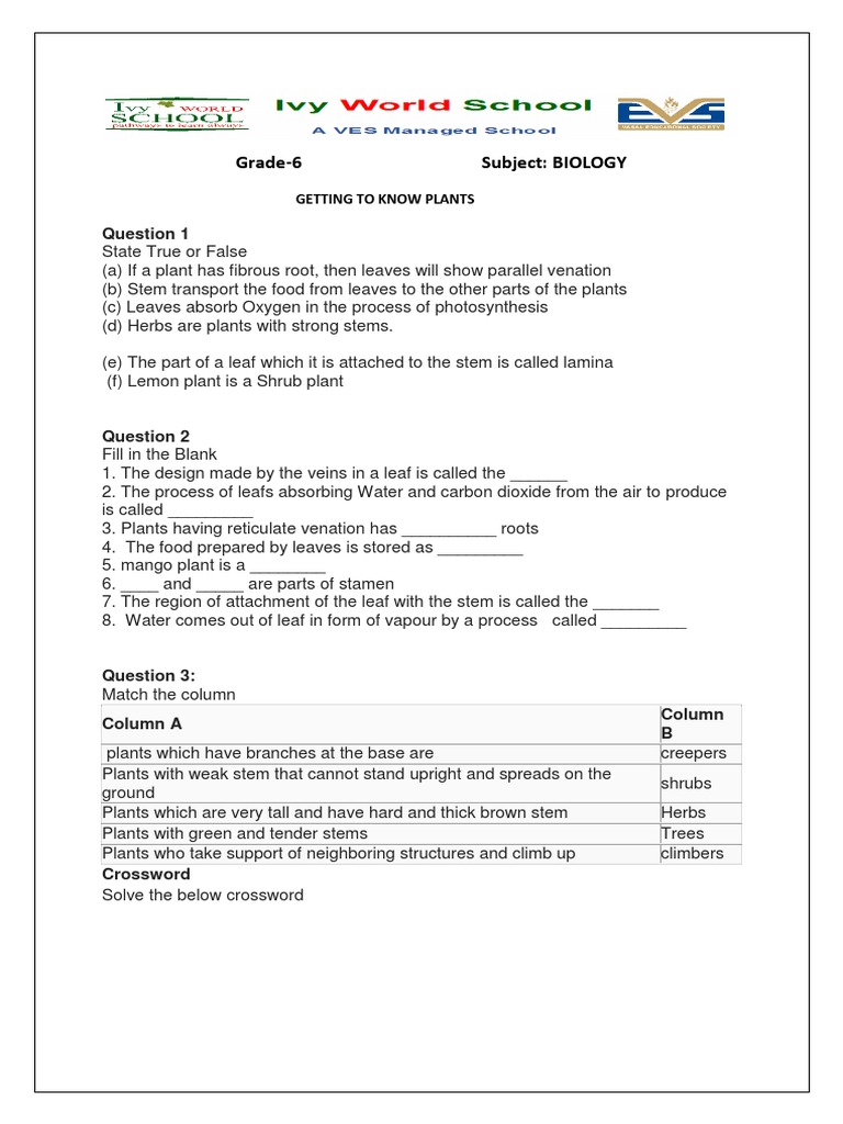 Getting To Know Plants | PDF | Leaf | Plants