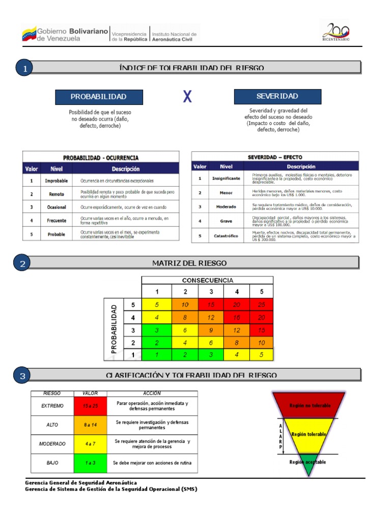 Matriz de Riesgo Iata | PDF