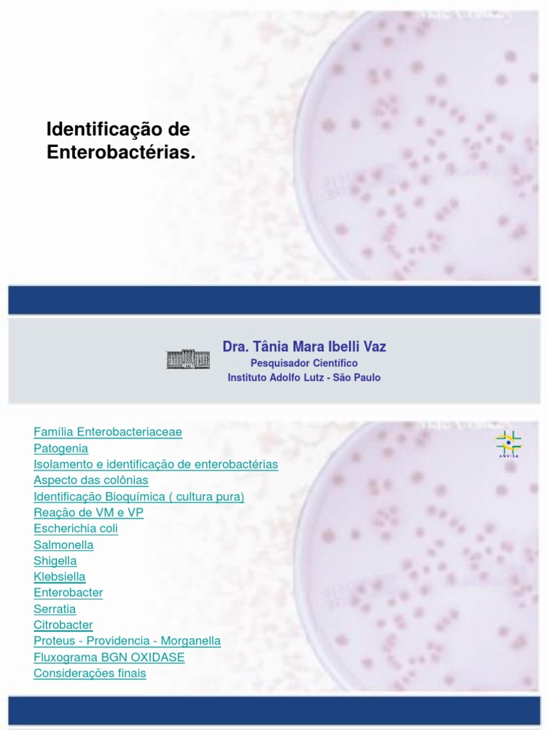 Identificacao Enterobacterias Tania Maria Ibelli | PDF | Escherichia ...