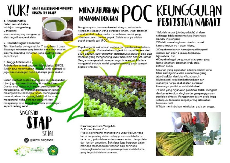 Leaflet Belakang Siap Print | PDF