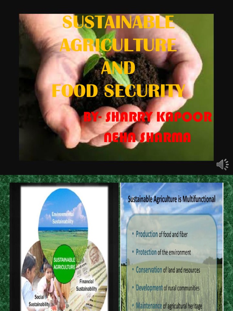 Sustainable Agriculture and Food Security | PDF | Social Science | Wellness