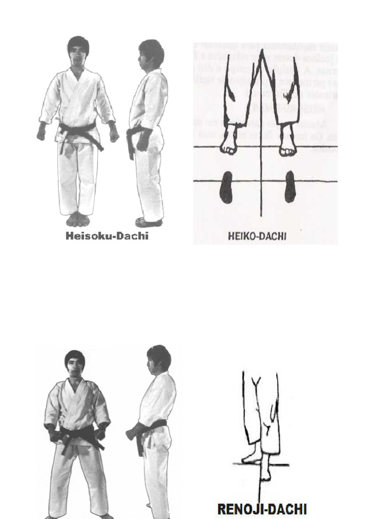 Kosa, Socin & Shiko Dachi Stances | PDF