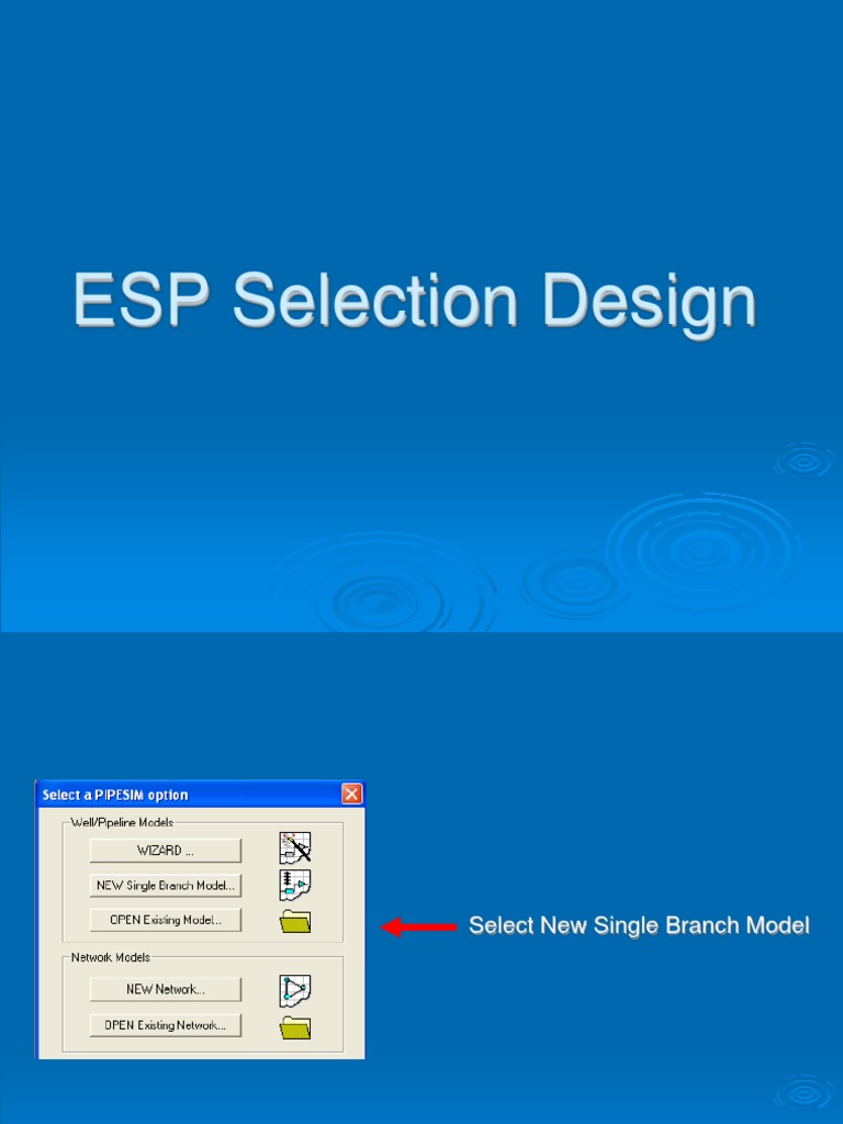 PipeSim ESP | PDF | Pressure | Liquids