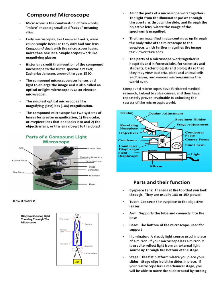 Microscopes | PDF | Lens (Optics) | Electromagnetic Radiation