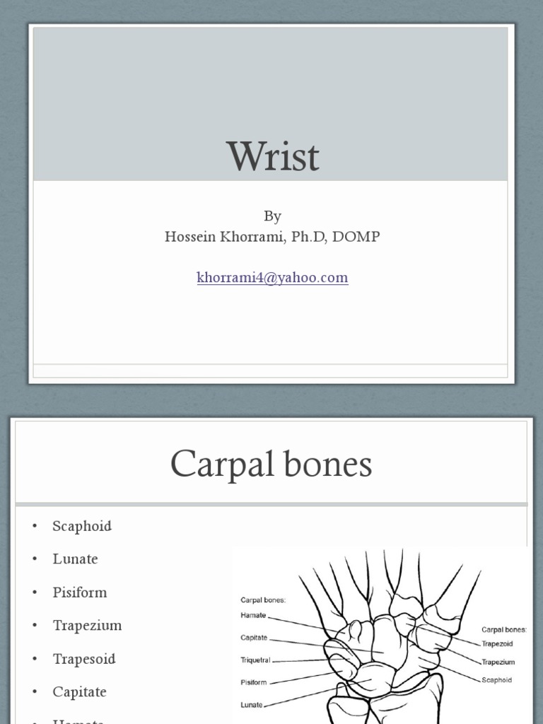 Wrist | PDF | Anatomical Terms Of Motion | Hand