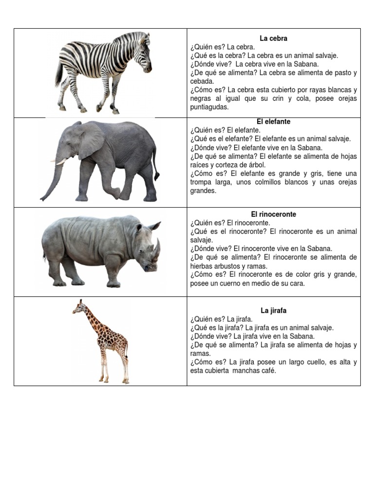 Donde Viven Los Animales Salvajes