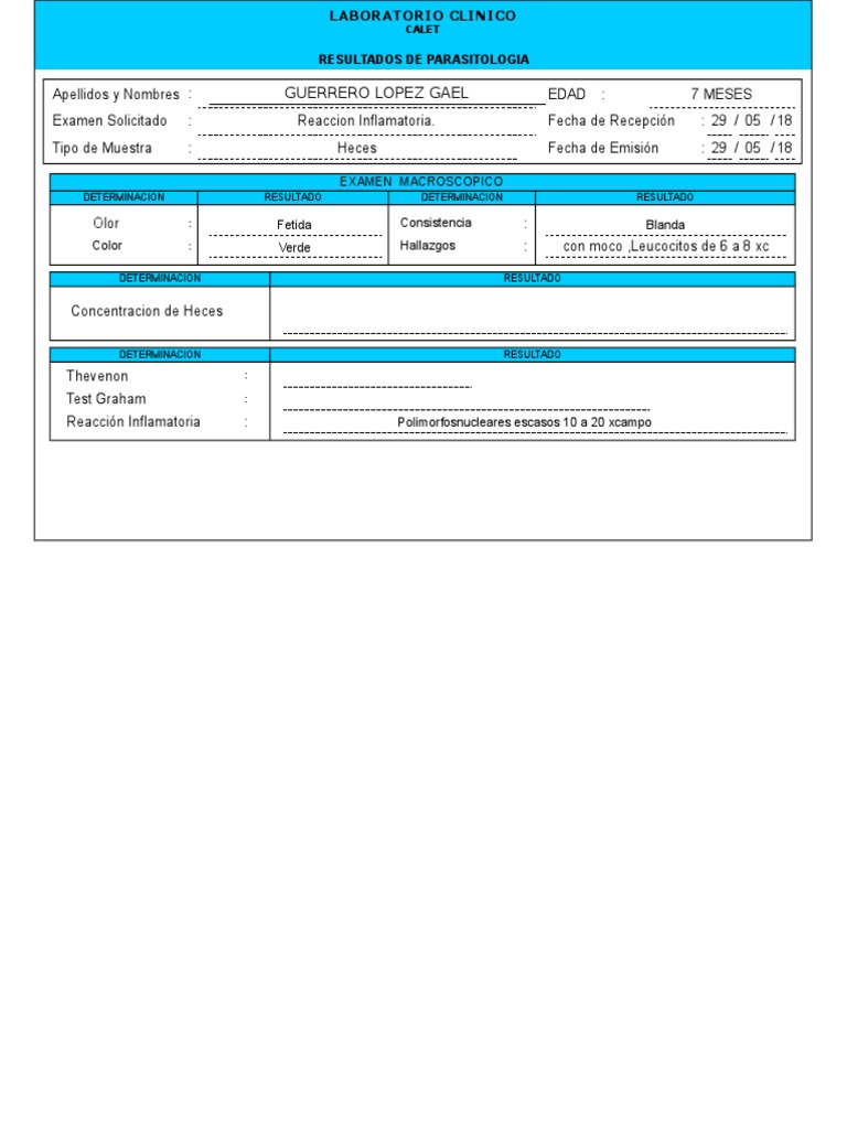 1L01 Examen de Heces y Heces Seriado OK | PDF | Heces | Zoología