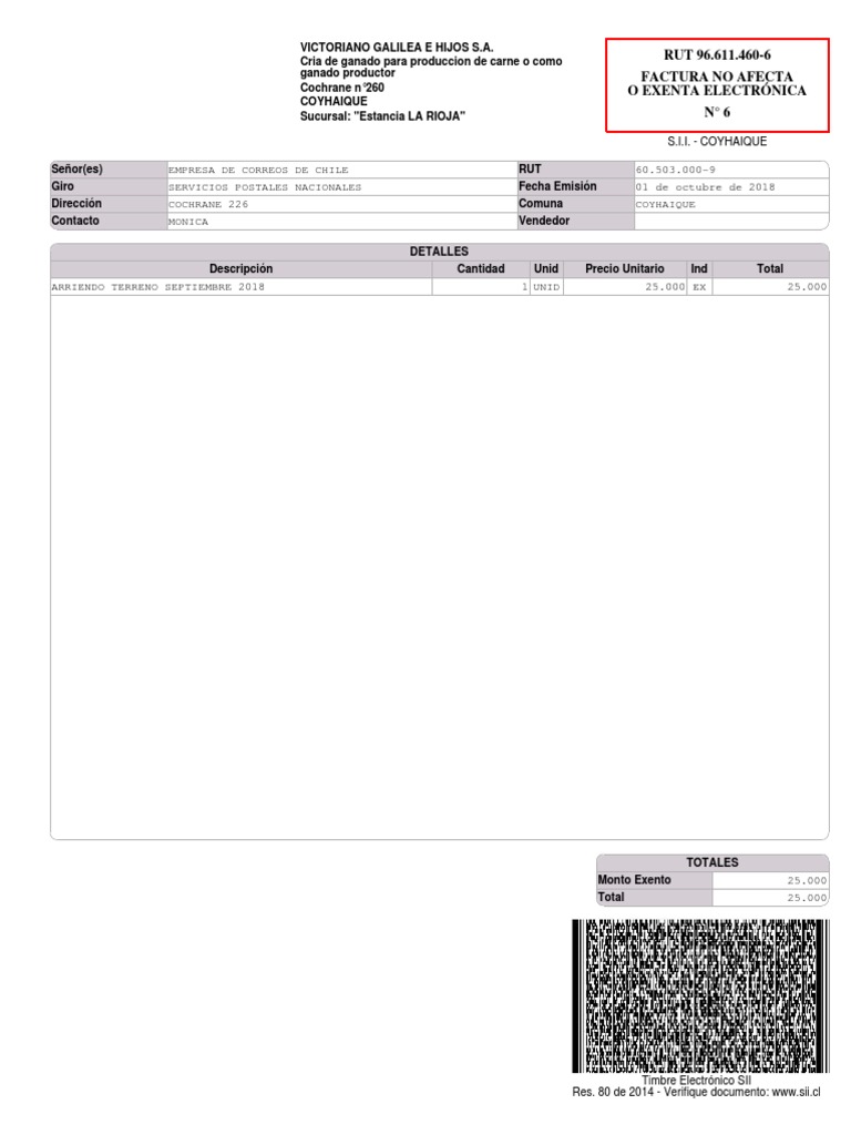 Facturas Electrónicas Victoriano Galilea S.A. | PDF | Bancario ...
