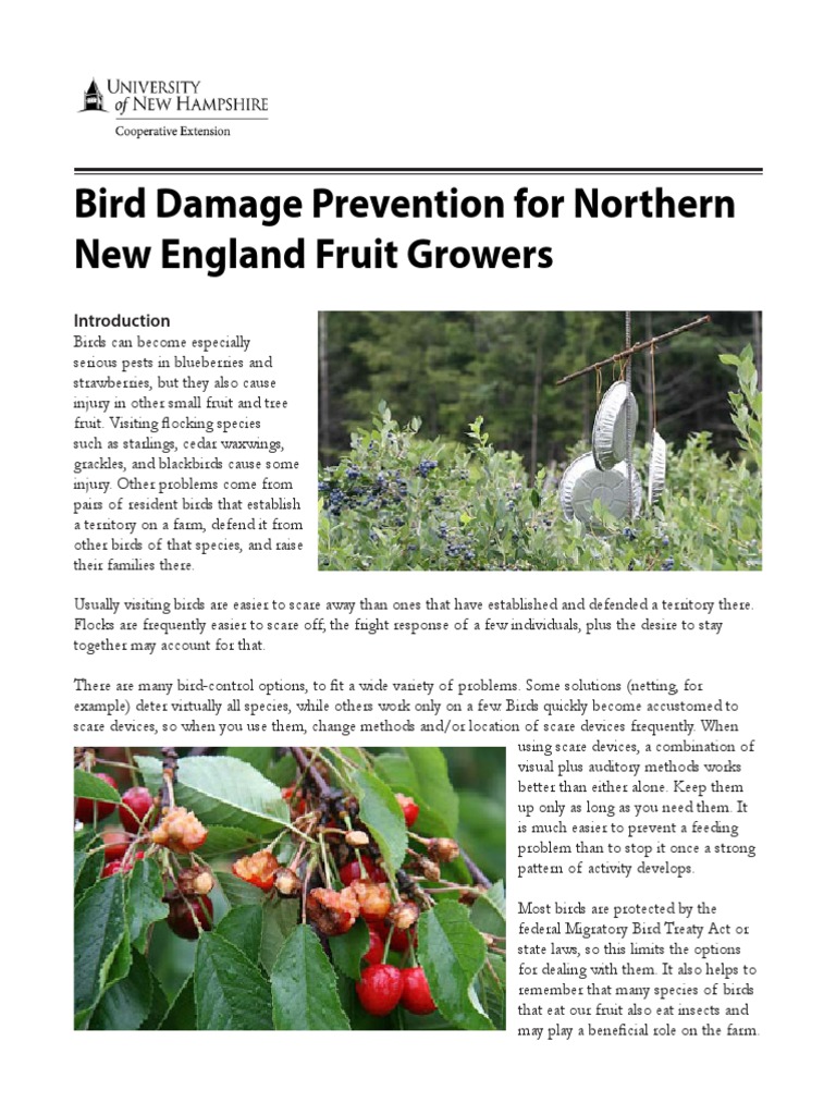 Bird Pub 2010 Reduced | PDF | Falconry | Balloon