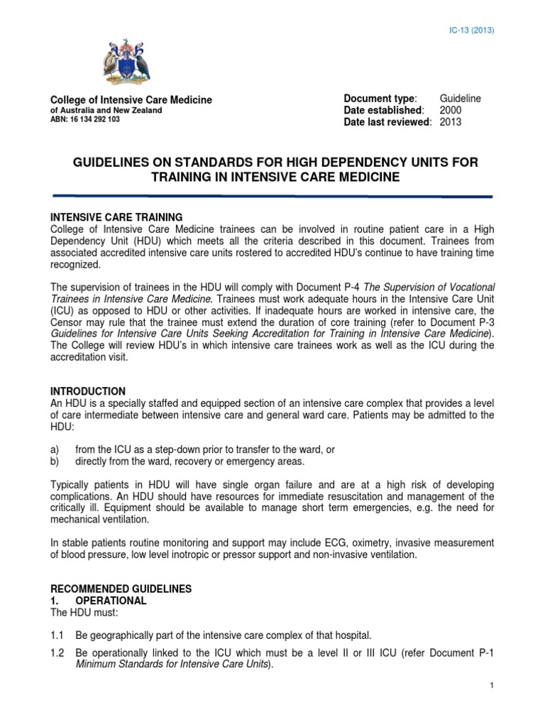 IC 13 Guidelines On Standards For High Dependency Units | PDF ...
