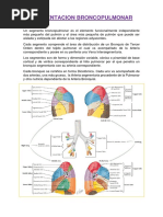 (Anatomía) Triángulos de Pirogoff y Béclard | PDF | Medicina CLINICA ...