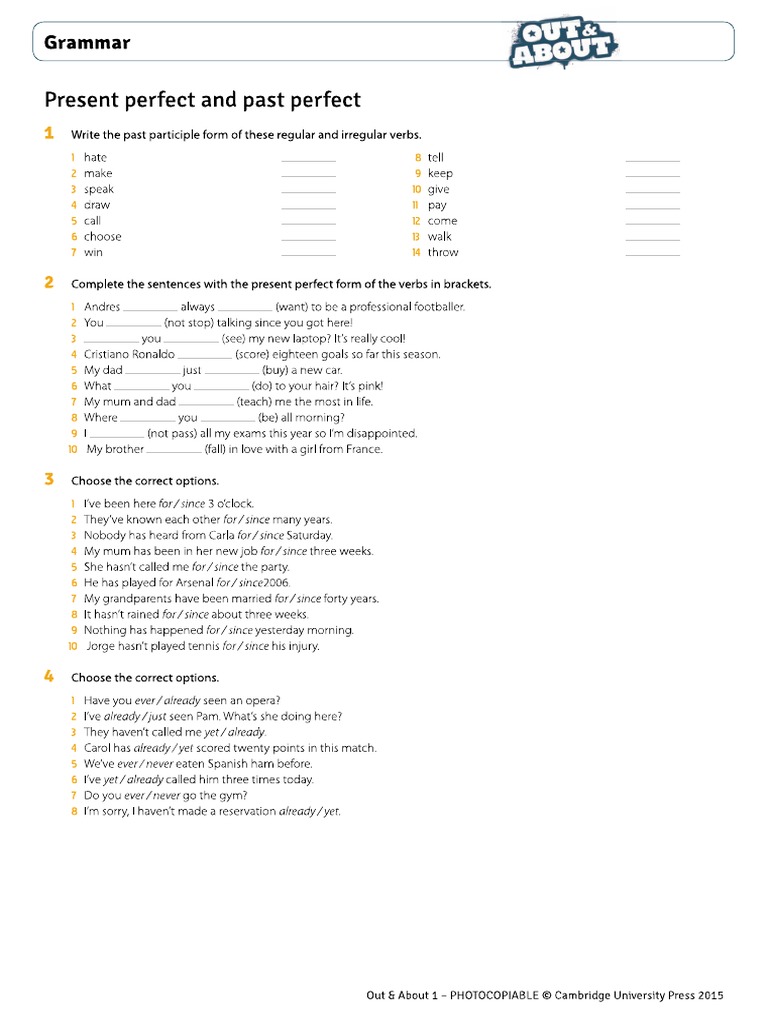 Present Perfect and Past Perfect Grammar Activity | PDF
