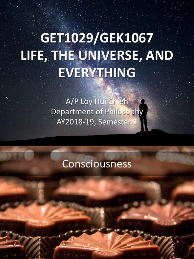L10 - Consciousness PDF | PDF | Philosophy Of Mind | Consciousness