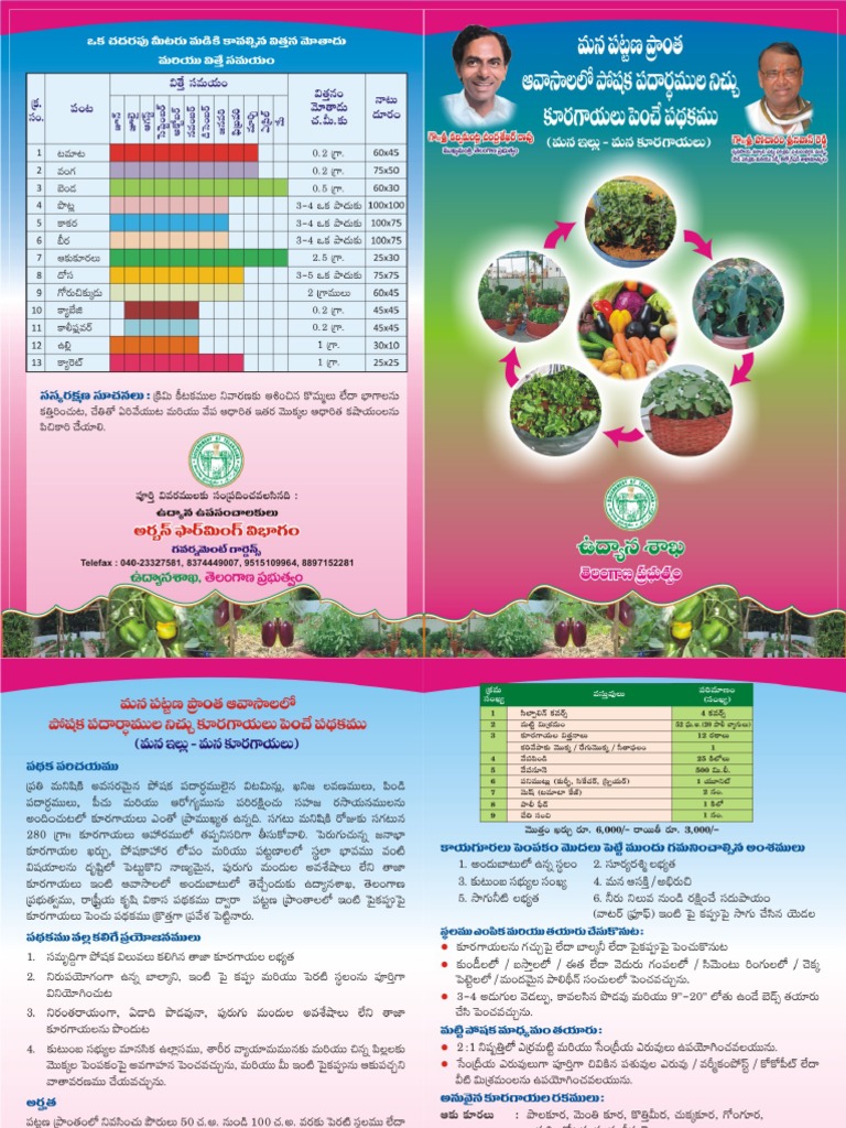Pamphlet Telugu | PDF